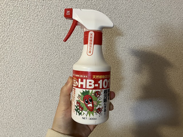 【口コミ】HB101は効果なし？希釈不要のスプレーを使ってみた結果… | 観葉植物のお悩みを解決するなら観葉植物ラボ